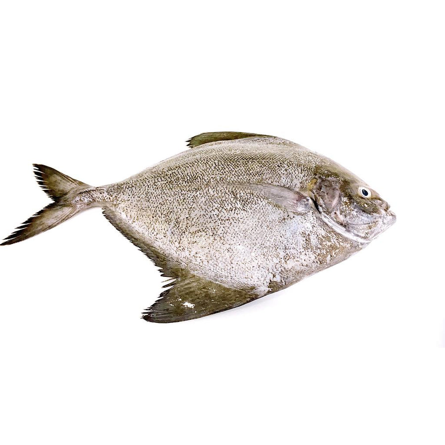 Fish n' Chix