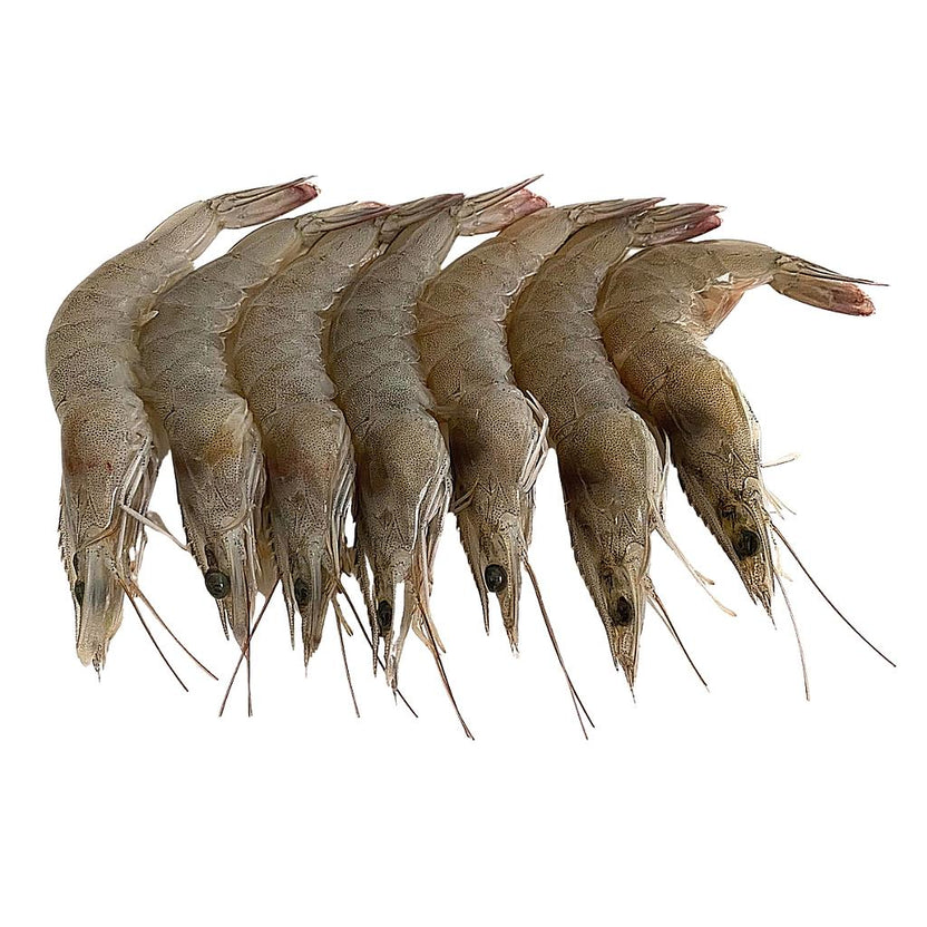 Kinchay (Chinese Parsley) 100 grams – Fish n' Chix