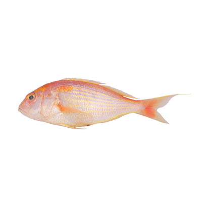Bisugo / Threadfin Bream (Clean & Gutted) 1 kg – Fish n' Chix