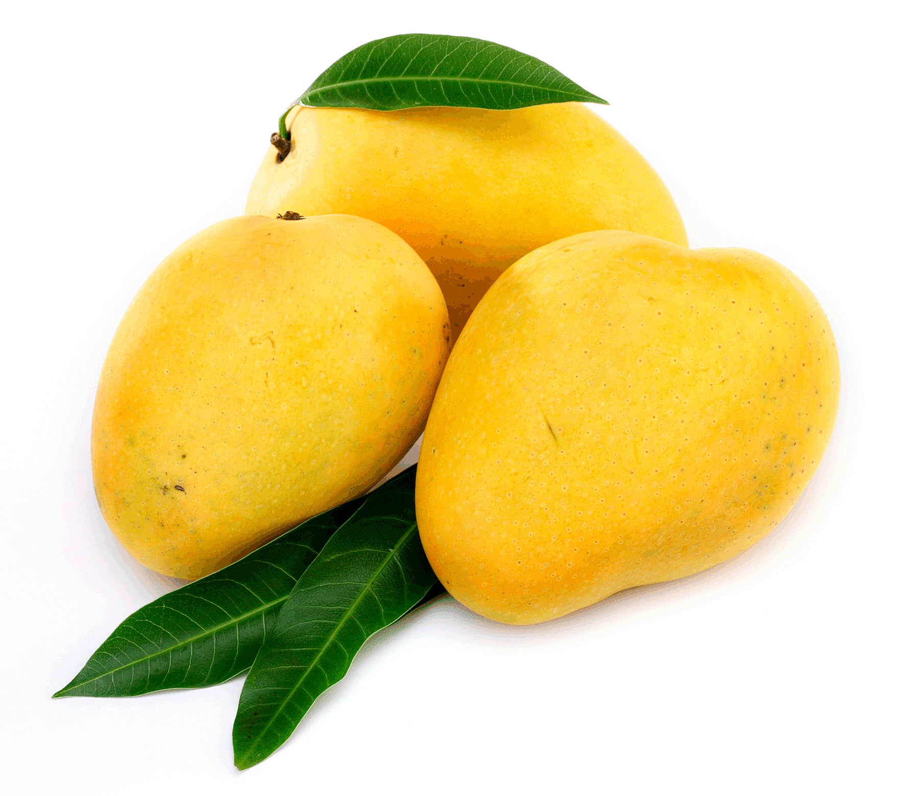 Carabao Mangoes 1 kilo (3-5pcs) – Fish n' Chix