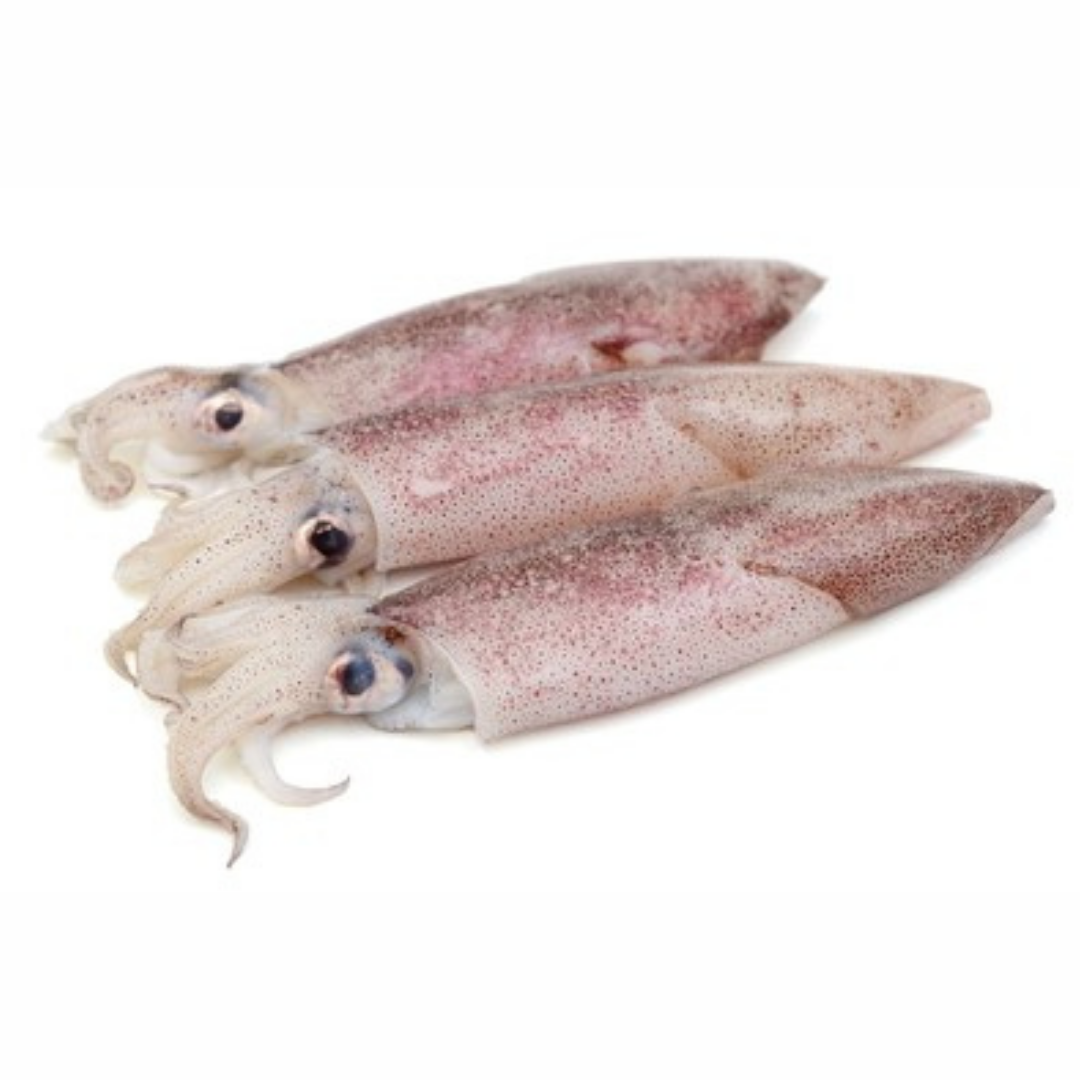 Squid 1kg – Fish n' Chix