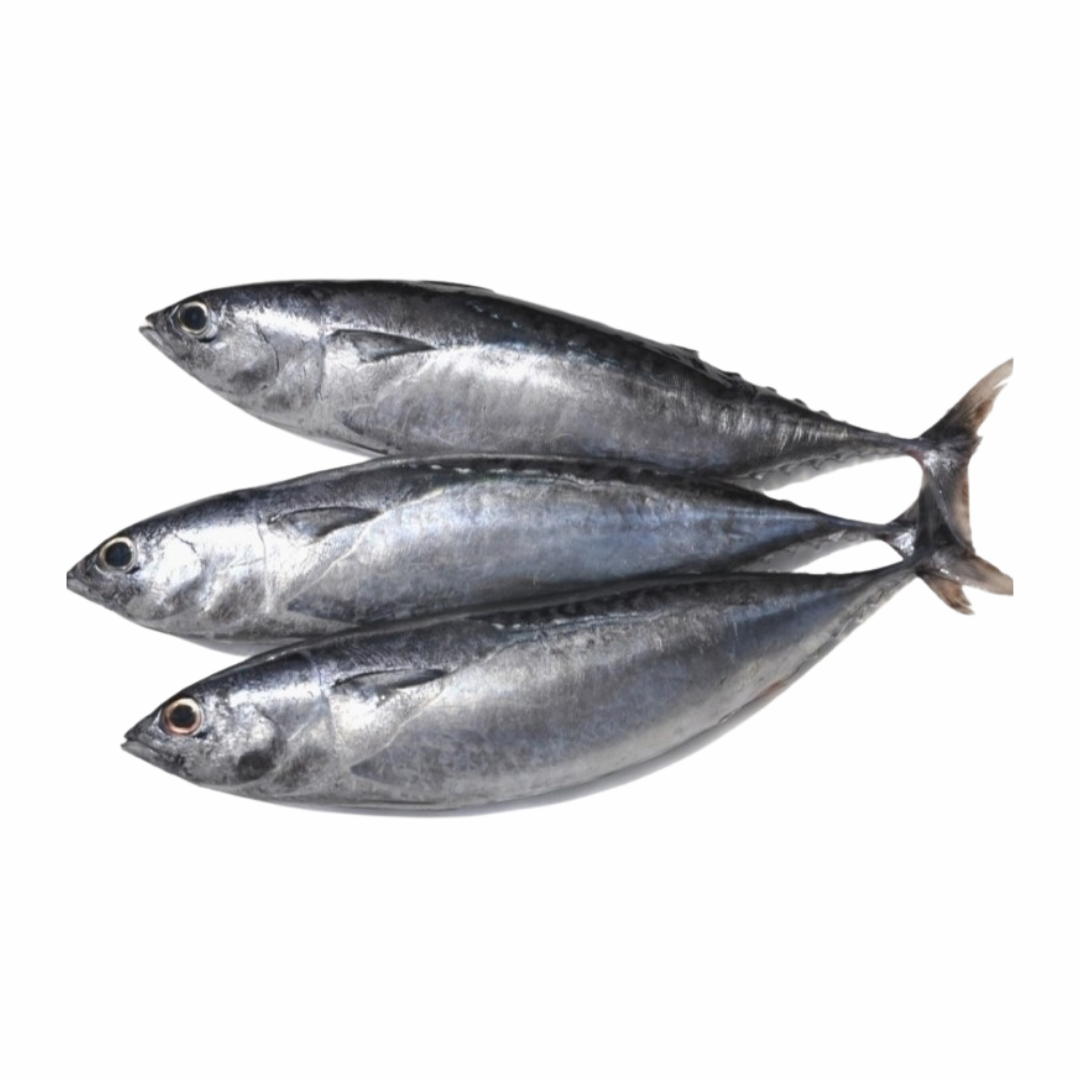 Baby Tuna / Tulingan (Clean & Gutted) – Fish n' Chix